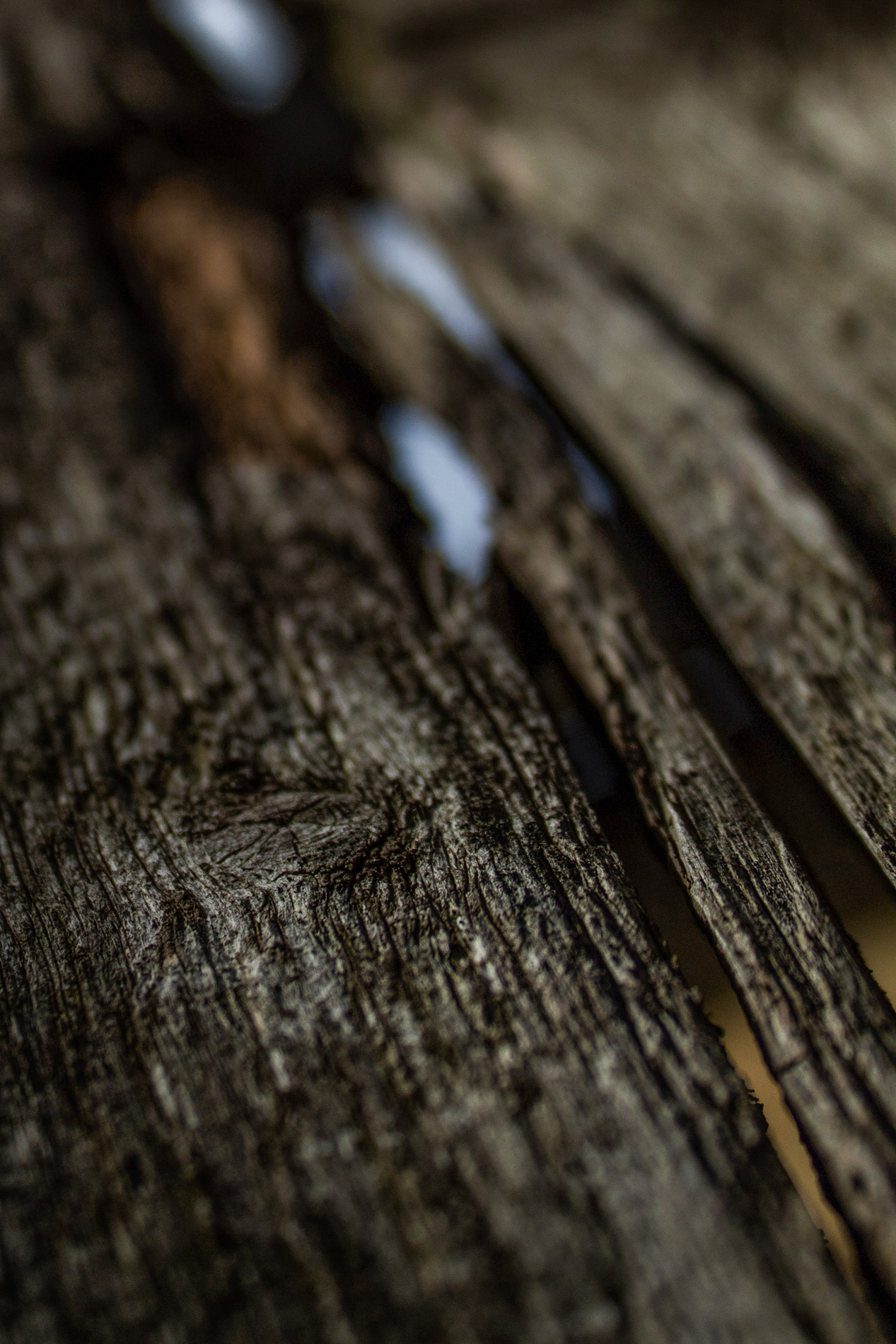 El Arte de Saber Mirar – elKoly Blog